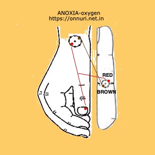 Energy Acupuncture role for Anoxia-Oxygen – ONNURI